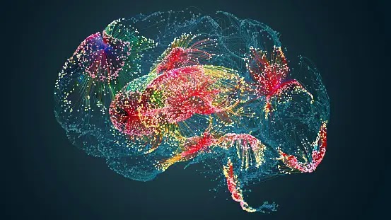 Ciri-ciri Orang dengan IQ tinggi - Nirwana Tunggal Ciri-ciri Orang dengan IQ tinggi - Nirwana Tunggal